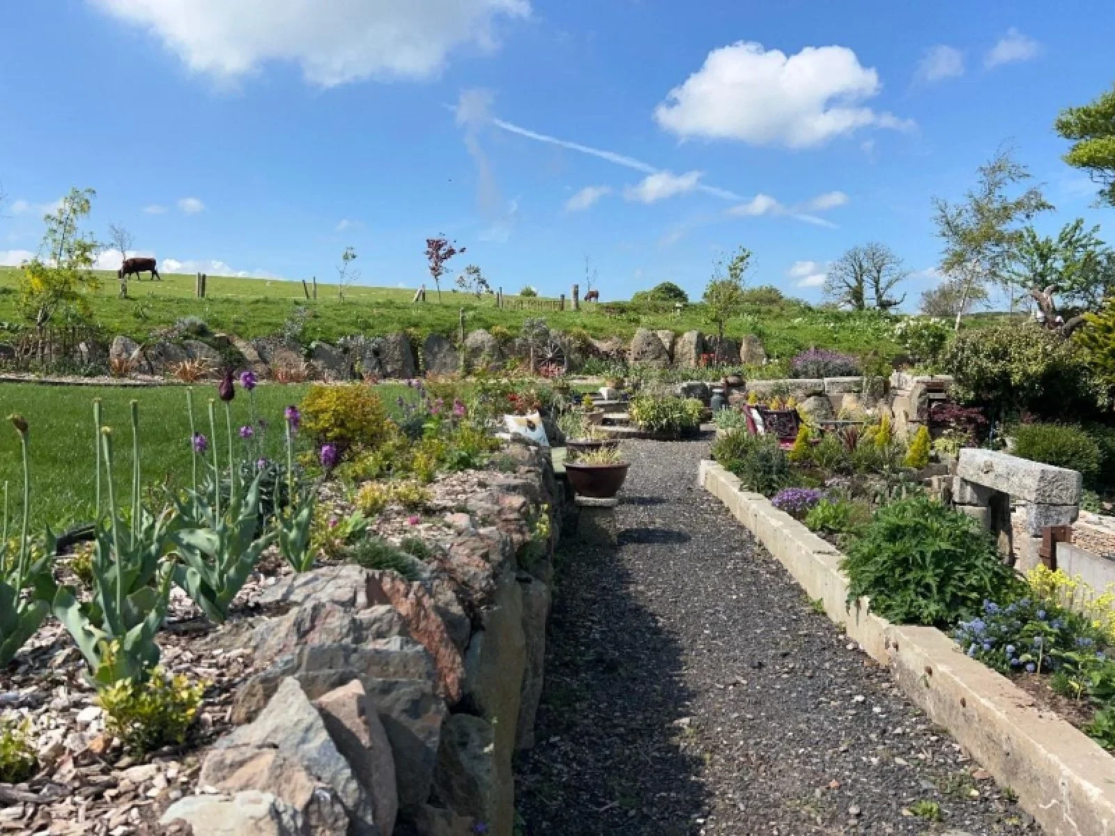 Brendon Open Gardens for the NGS - Coast & Country Parks